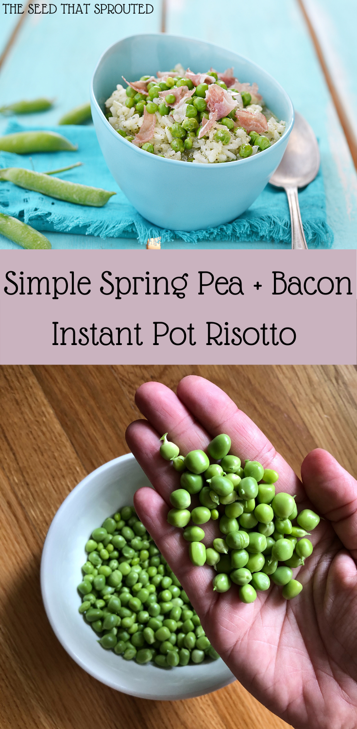 Simple Spring Pea + Bacon Instant Pot Risotto - The Seed That Sprouted